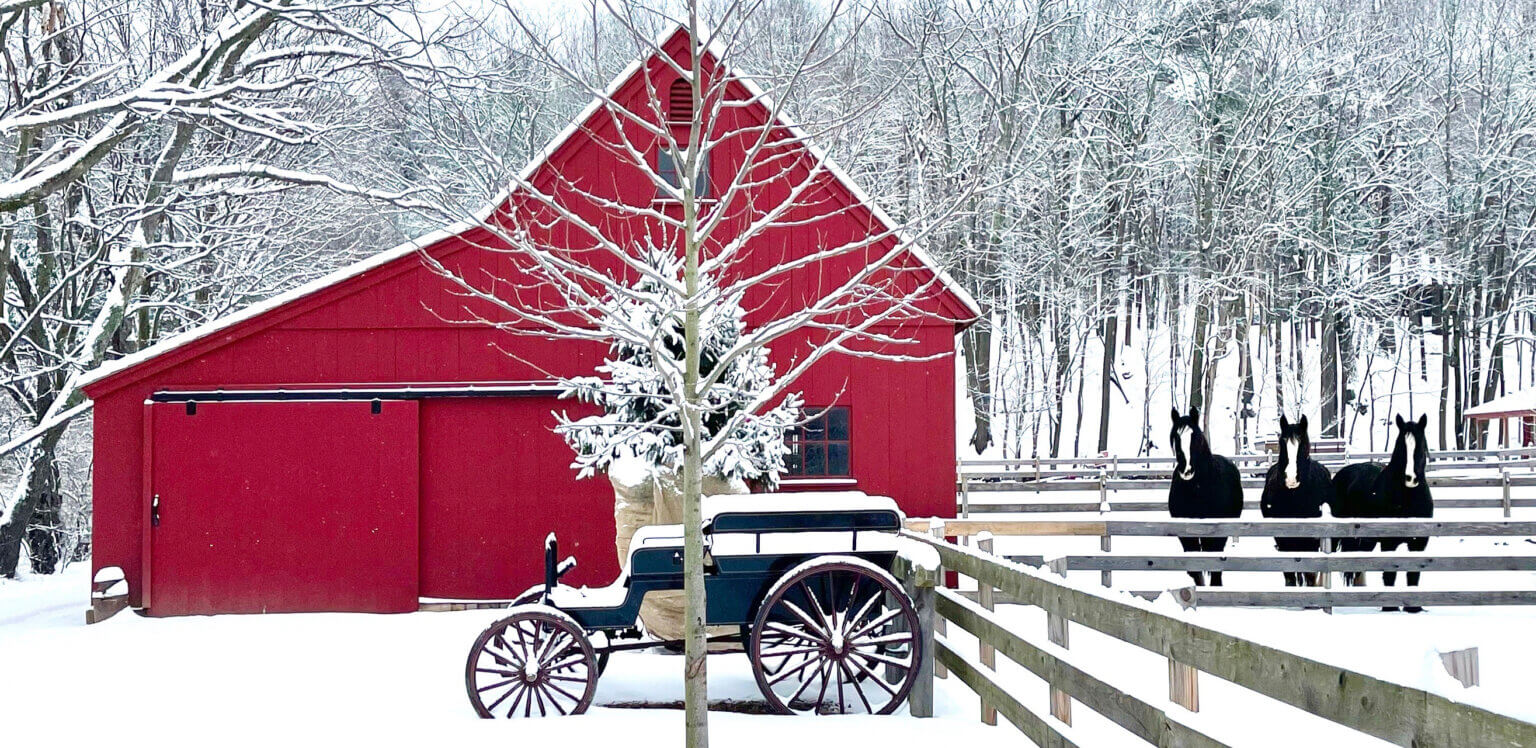 Home - Experience the Magic of June Farms Cabins