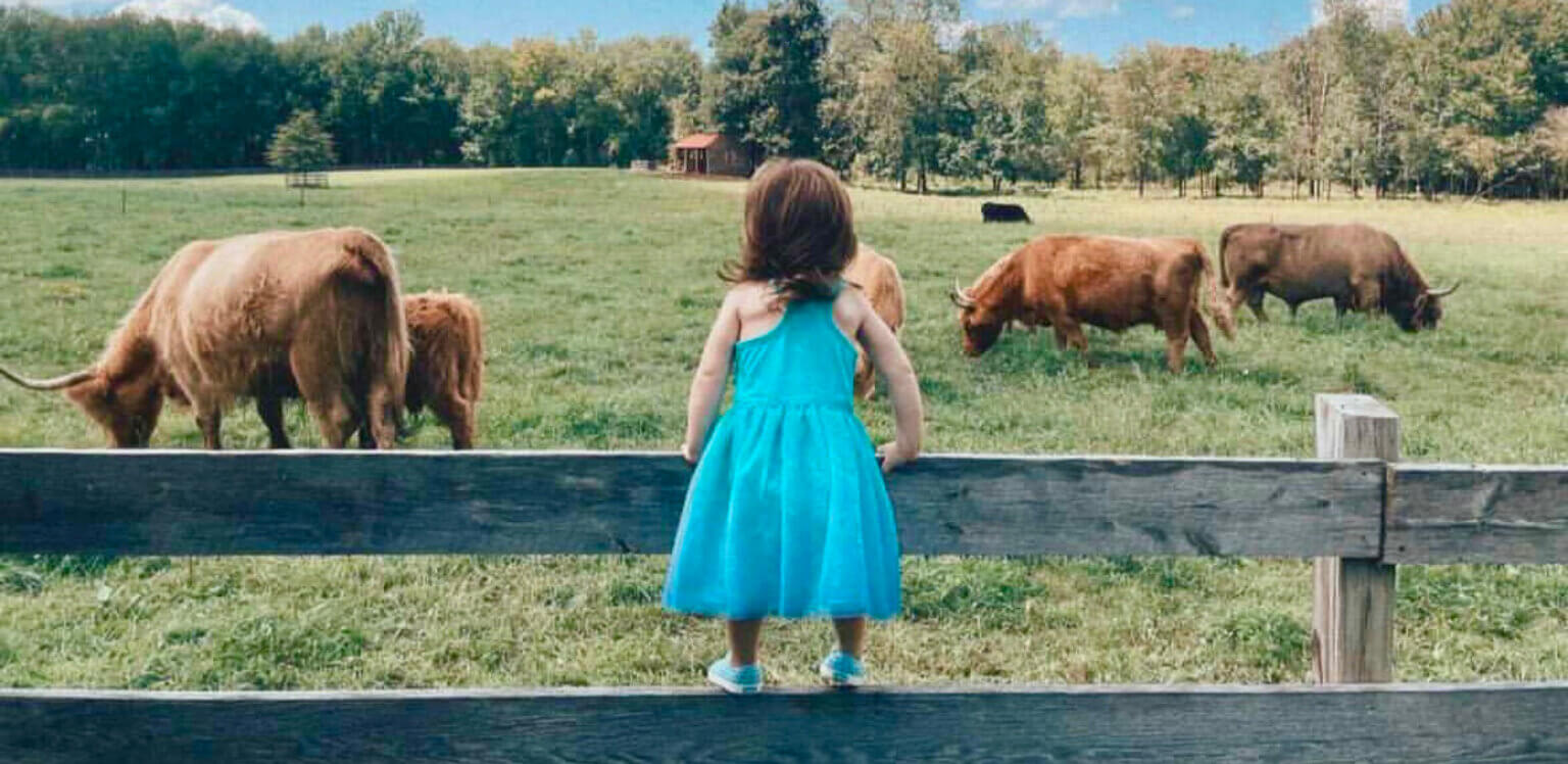 Home - Experience the Magic of June Farms Cabins