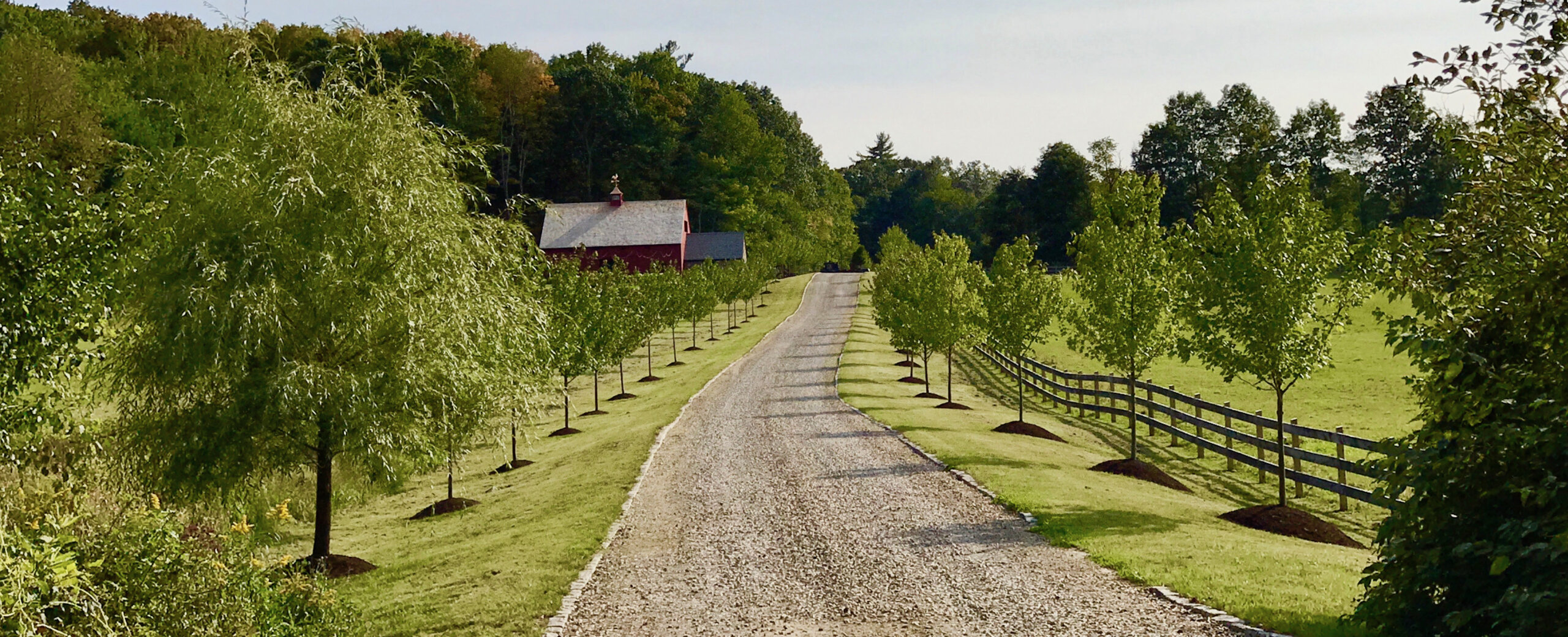 The Farm | June Farms Cabins