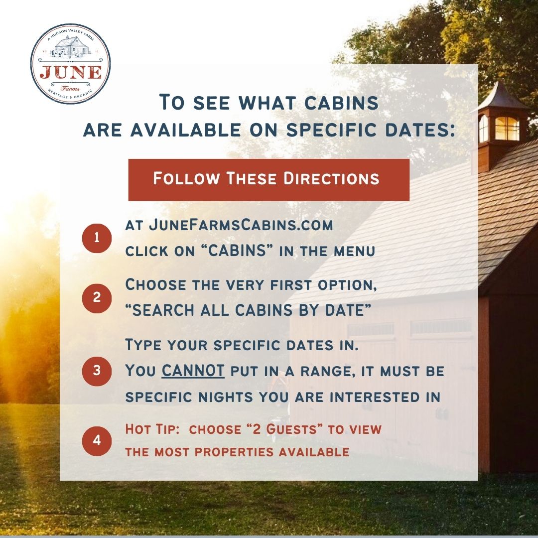 Home - Experience the Magic of June Farms Cabins